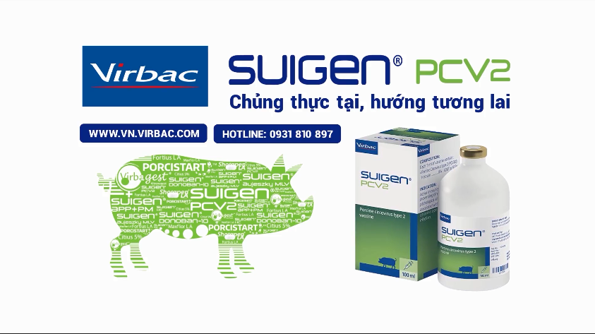 SẢN PHẨM CHO HEO